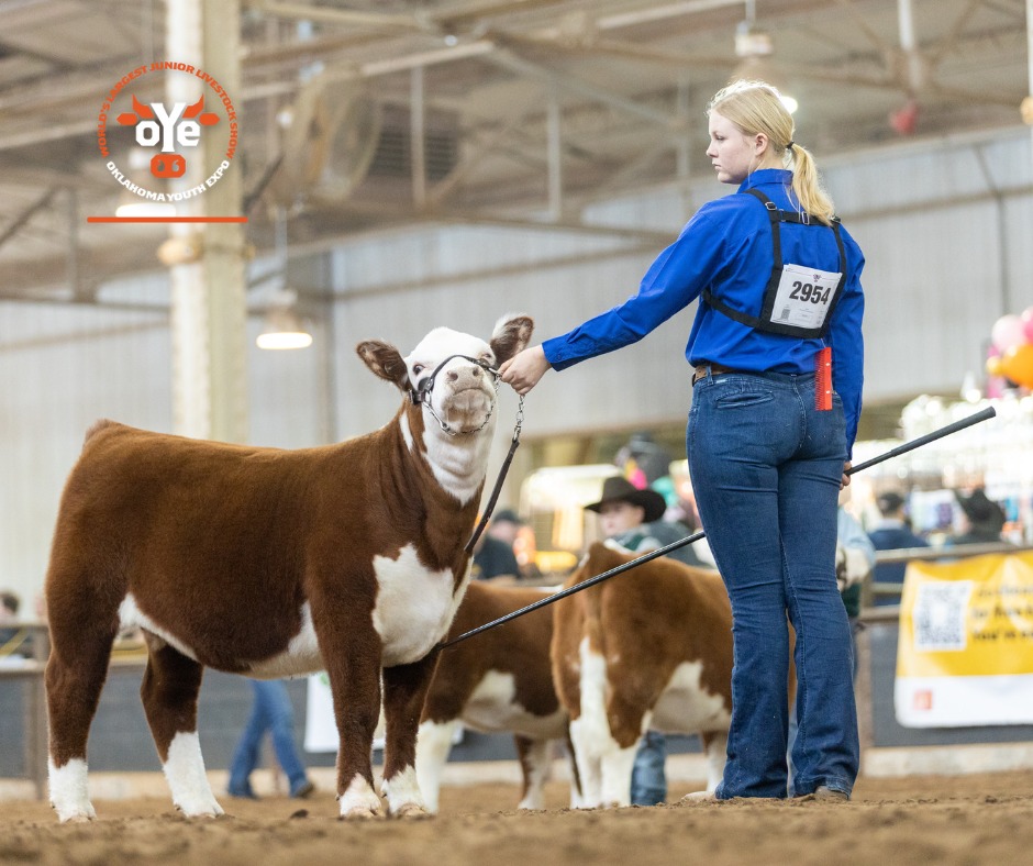 CSTK Custom Trailers: Proud Sponsor of the Oklahoma Youth Expo - CSTK